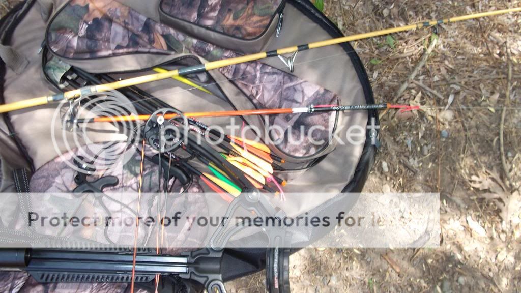 Bow Fishing Rig? | Crossbow Nation