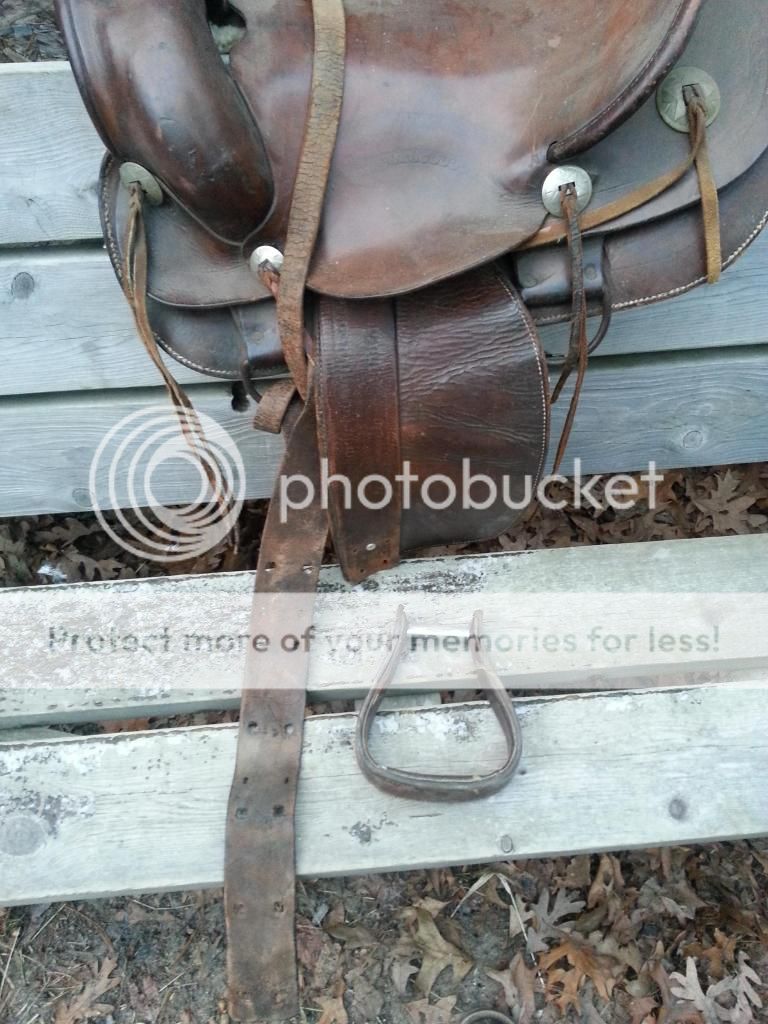 Project Saddle | The Horse Forum