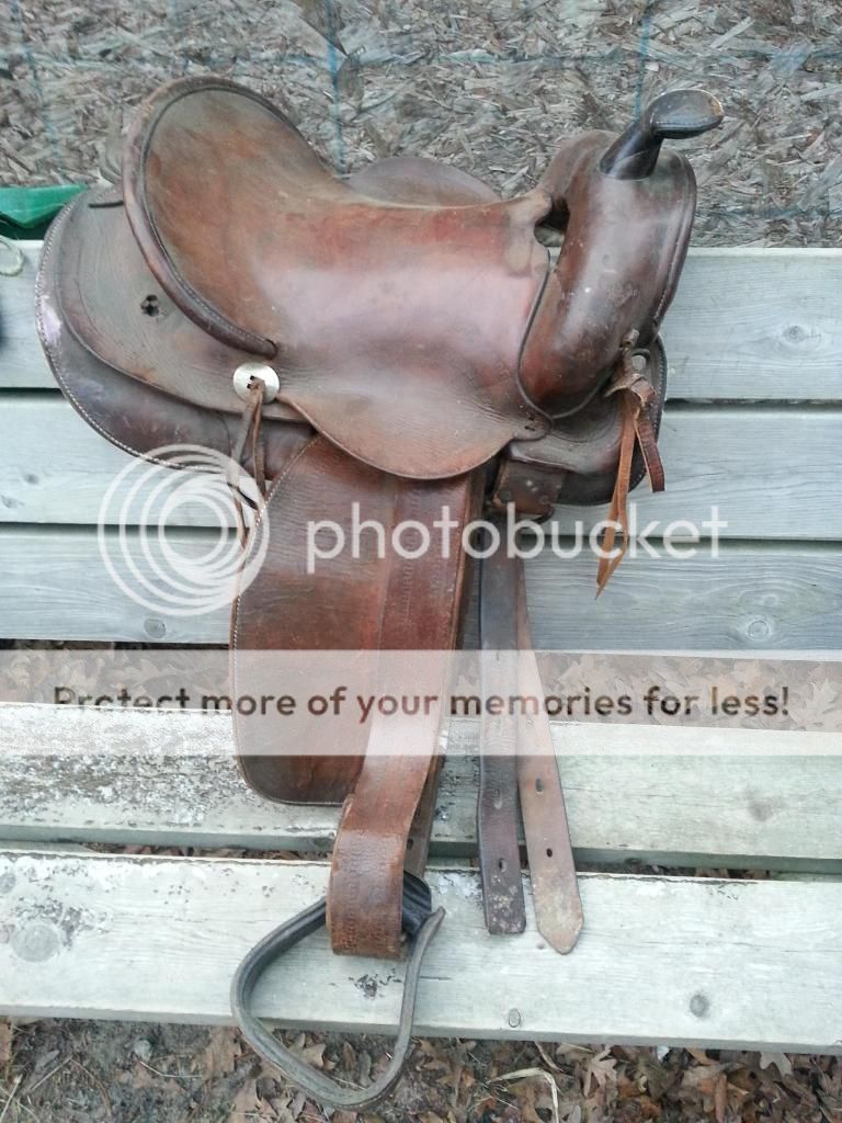Project Saddle | The Horse Forum