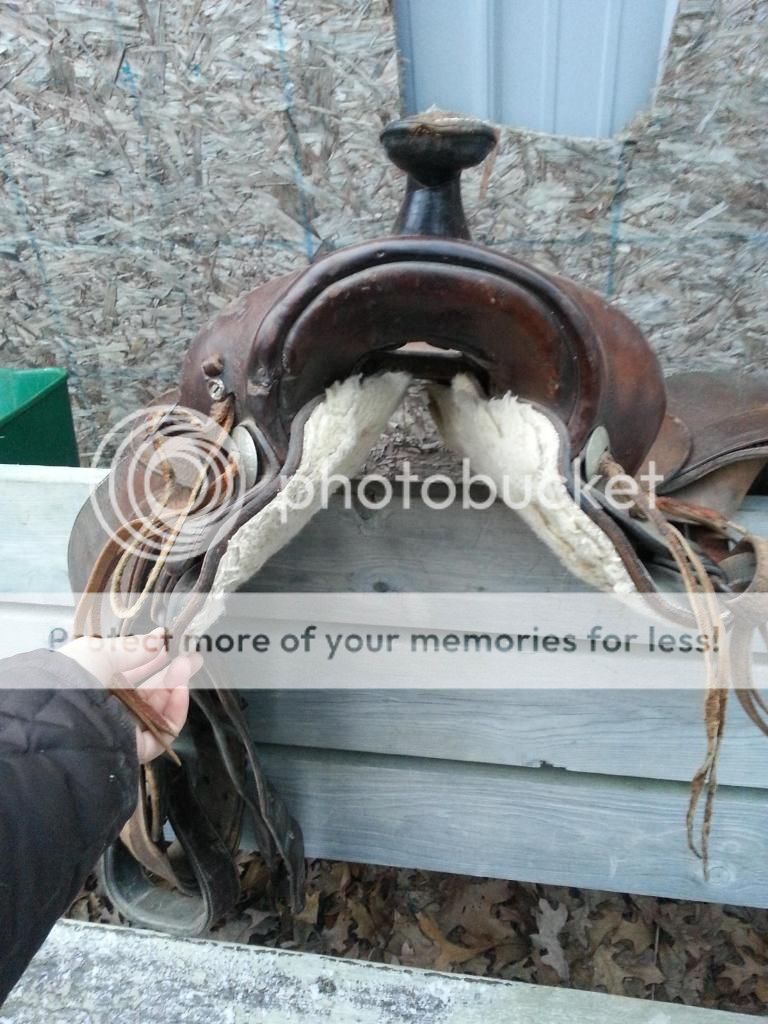 Project Saddle | The Horse Forum