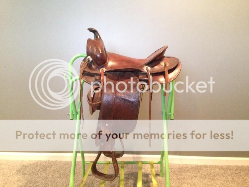 Project Saddle | The Horse Forum