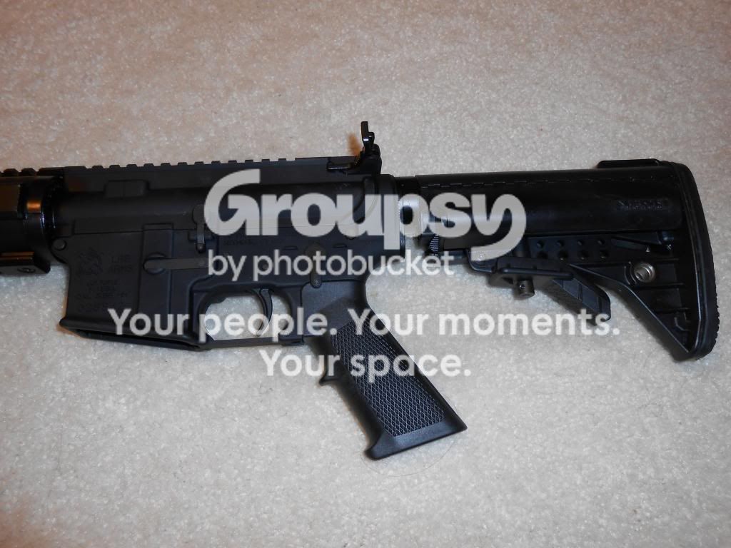 Ever heard of a Sky Guns International AR15 or LRB Arms > AR ...